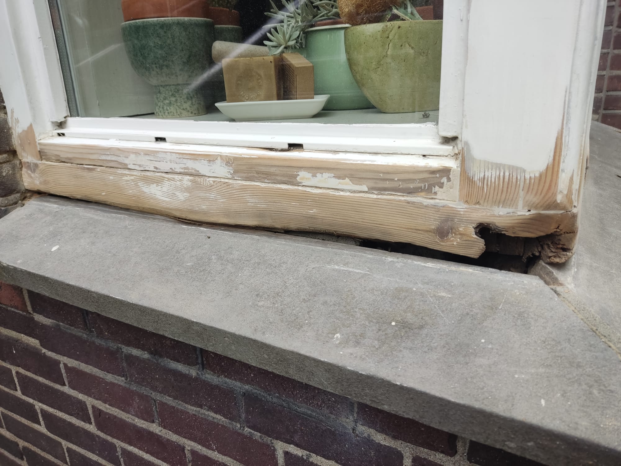 Houtrot behandelen en een nieuwe verflaag